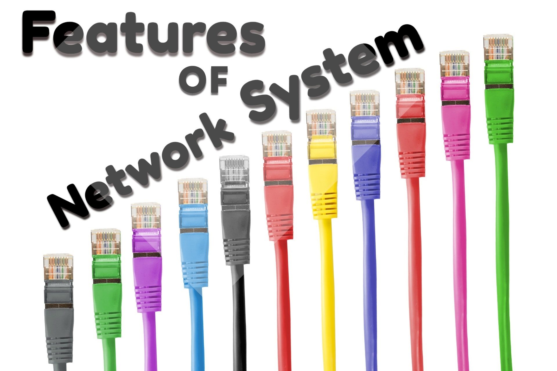 Networking for beginner with learning management system - TutorRoom | Online teaching software